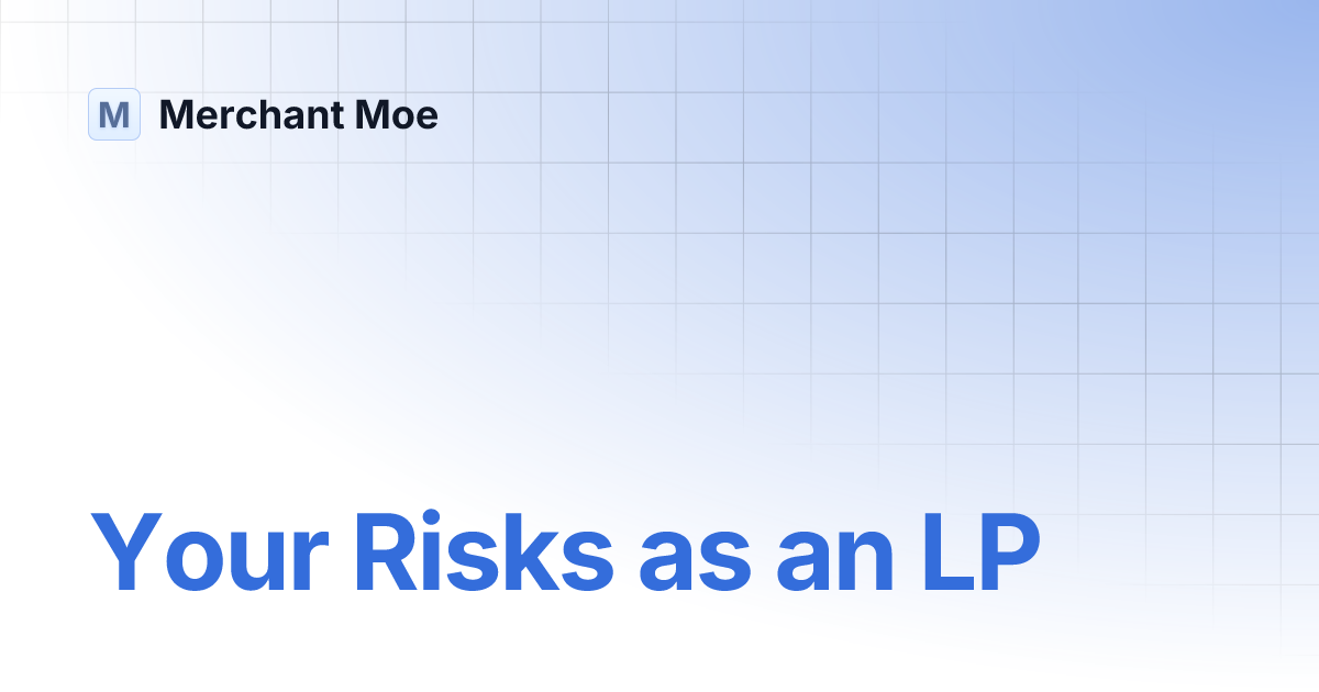 Your Risks as an LP | Merchant Moe